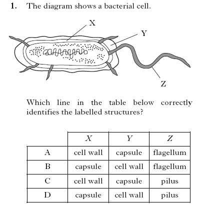 Advanced Higher Biology All Unit Revision